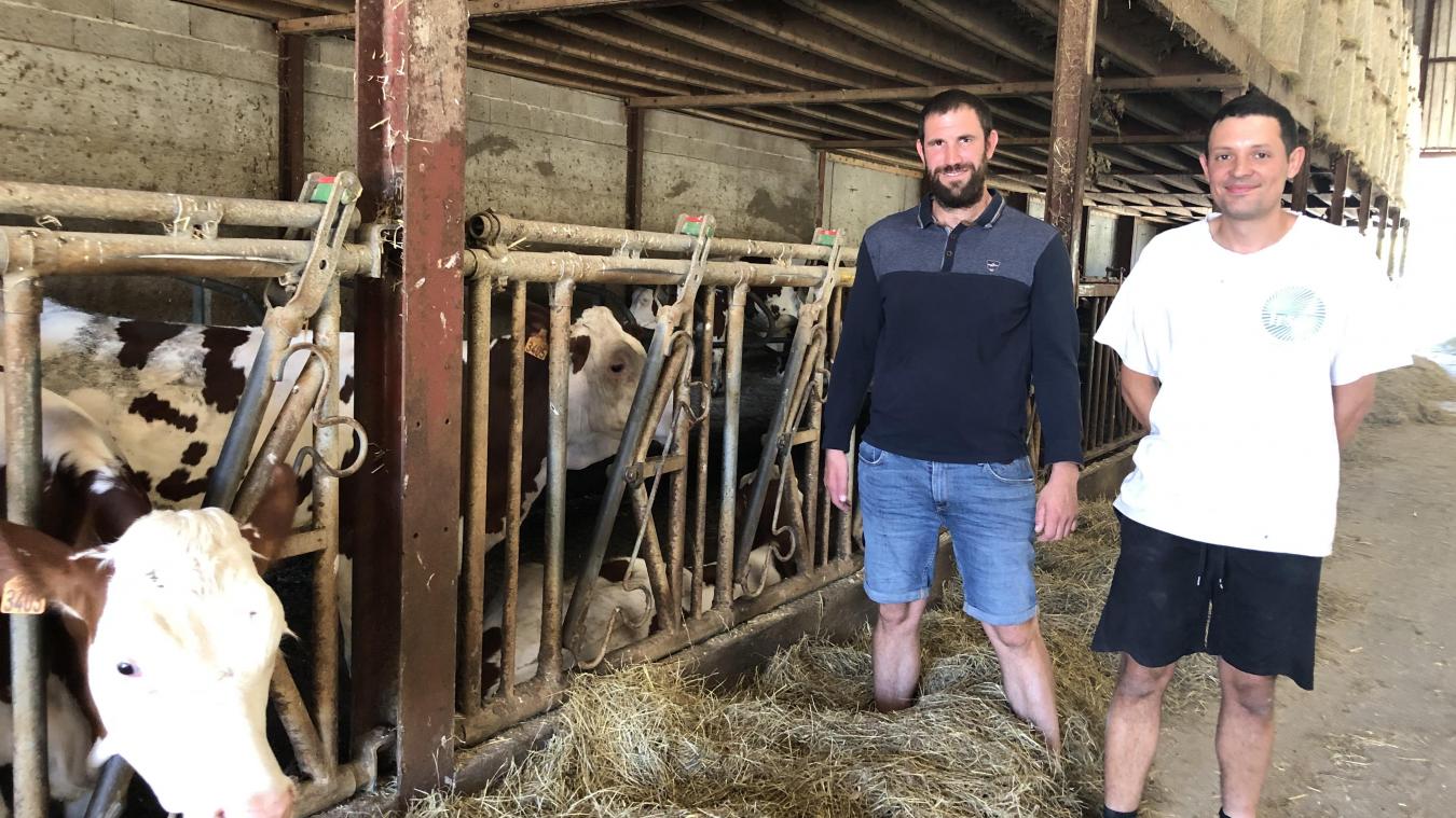 Frangy : les Fermiers Savoyards à la rescousse de paysans valromeysans ...