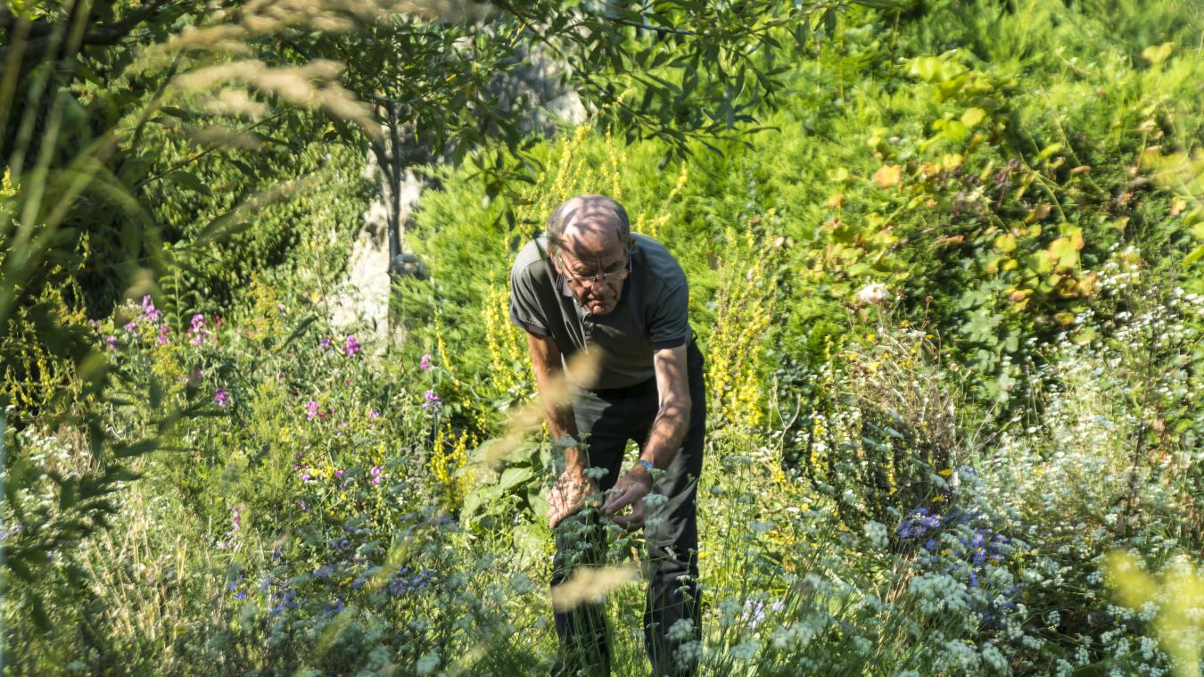Lully : Denis Jordan, 75 ans, botaniste à fleur de peau - Le Messager