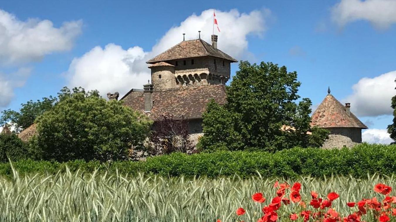 Brenthonne : le château d’Avully lance son premier salon Nature et ...