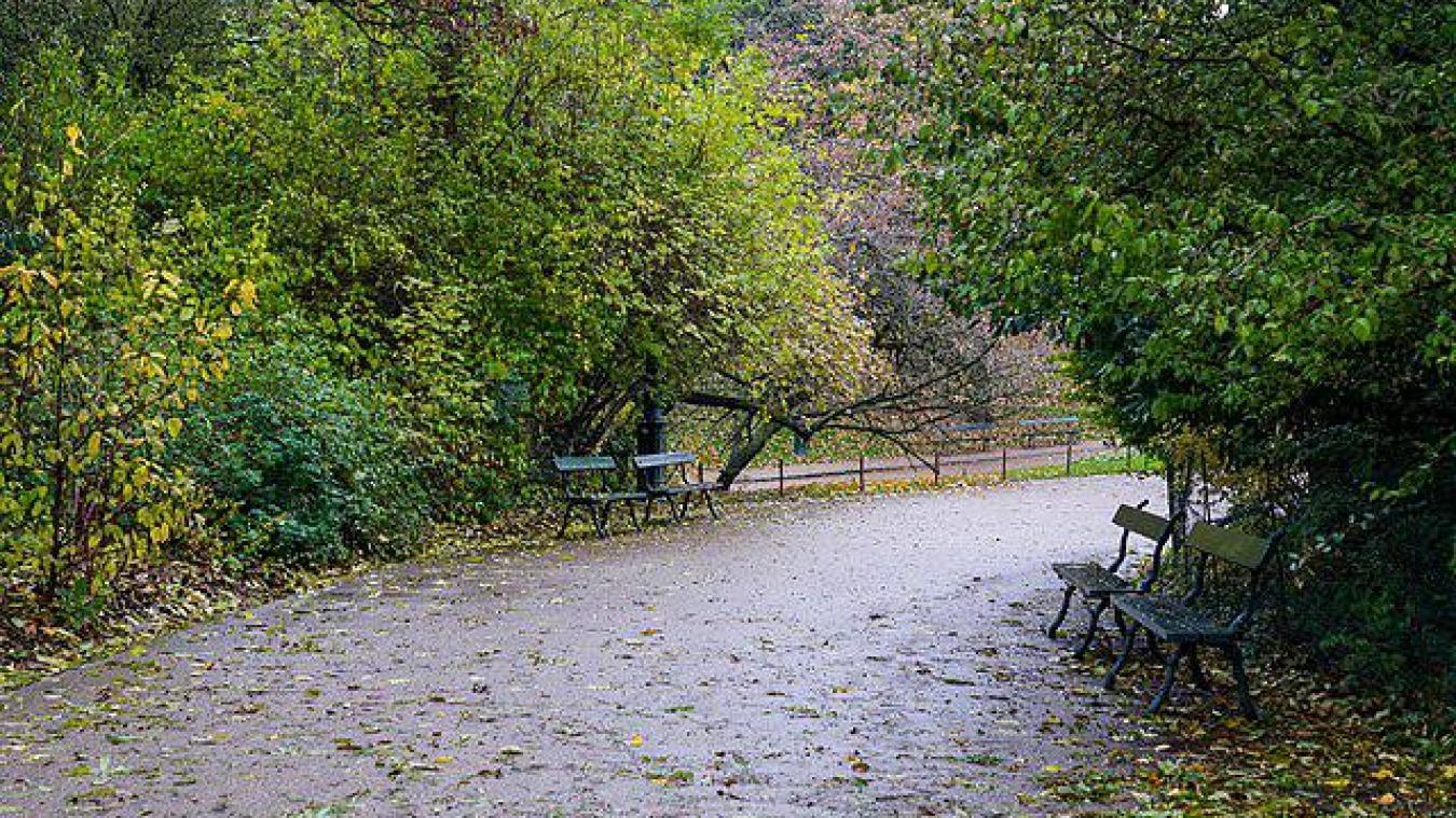 « L’horreur absolue » : le tronc d’une femme retrouvé dans un parc ...