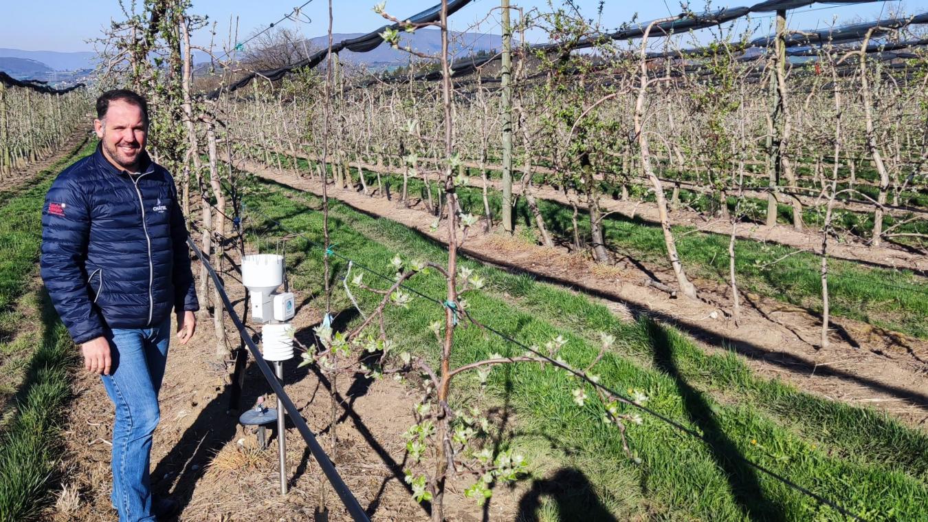 Copponex: la nature grelotte, les arboriculteurs tremblent - Le Messager