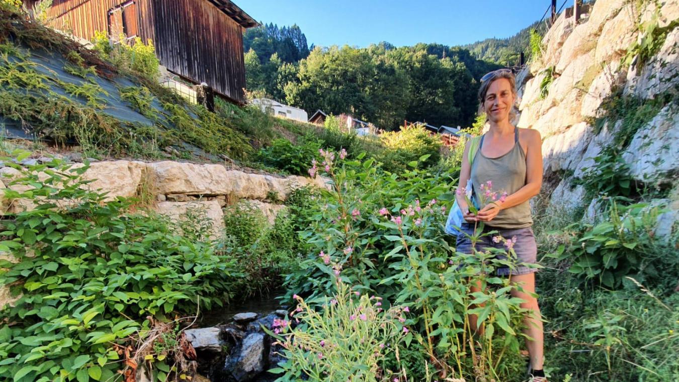 Queige : cet été, avec Stéphanie Rey, apprenez à cuisiner les plantes ...