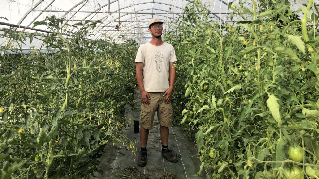 Fessy : le potager des Fourches, naturellement bio - Le Messager