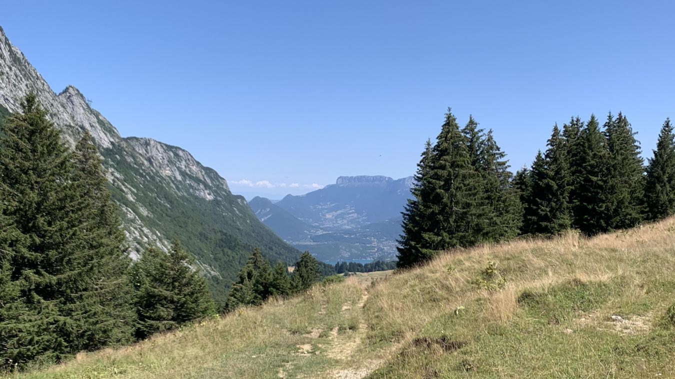 Bauges : le col de la Frasse, une randonnée pour prendre facilement de ...