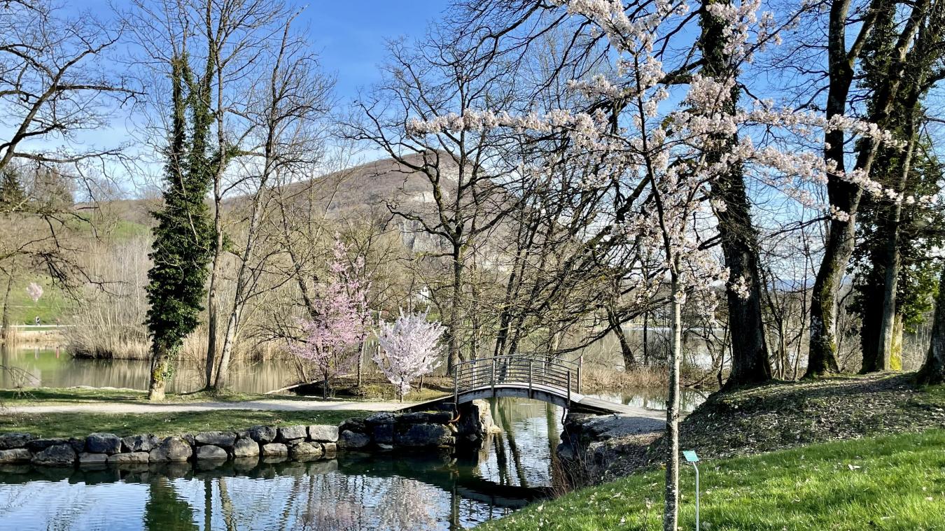 Ain, Savoie, Haute-Savoie : 10 idées de sorties printanières pour ce ...