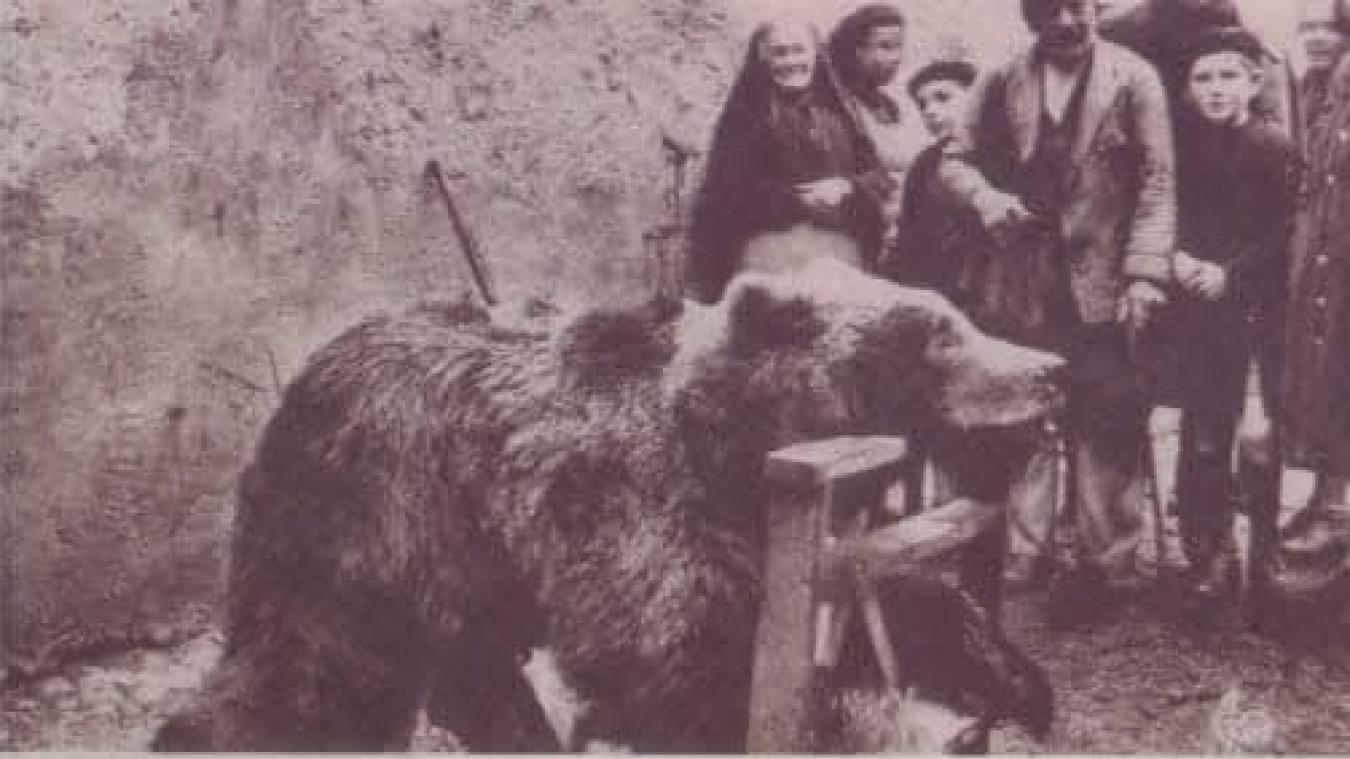 Pays de Gex : l’histoire sauvage de l’ours, un animal traqué jusqu’à l’extinction - La Tribune ...