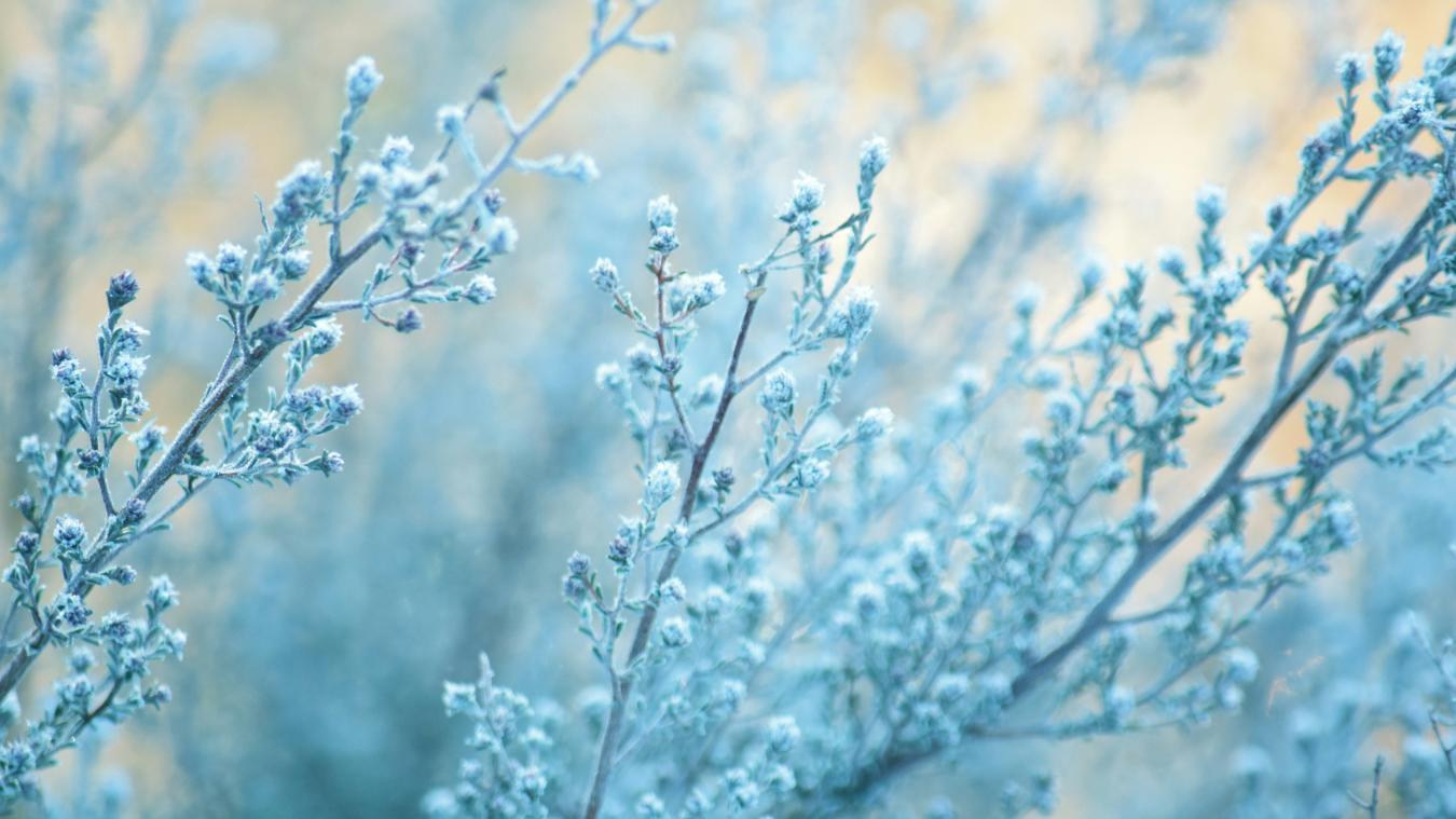 Les Pays de Savoie et l’Ain placé en vigilance jaune grand froid dès ce ...