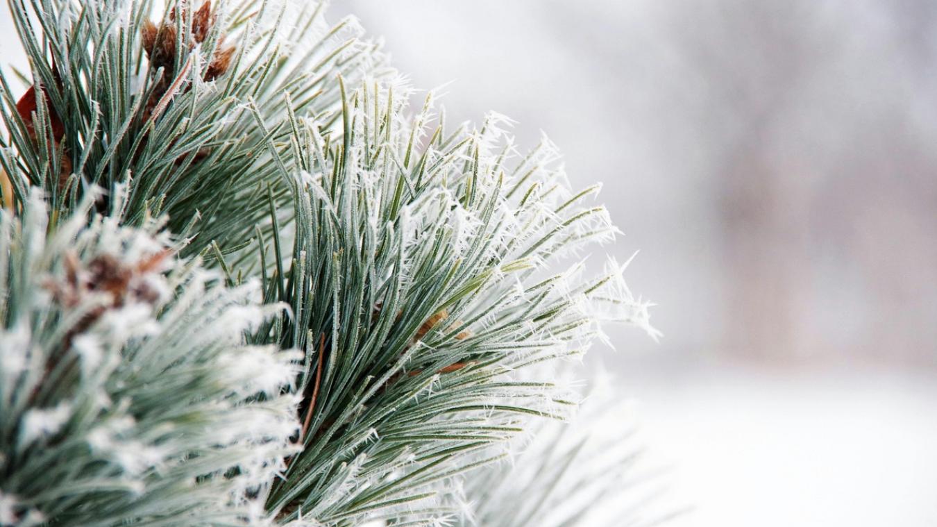 Vague de froid dans l’Ain et les Pays de Savoie : jusqu’à quand va-t ...