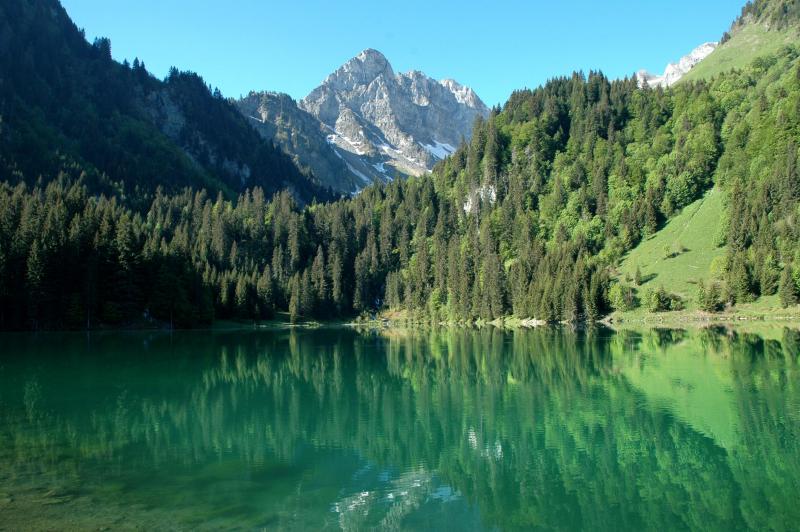 (VIDEO) Lacs du Chablais : à quel été faut-il s’attendre ? - Le Messager