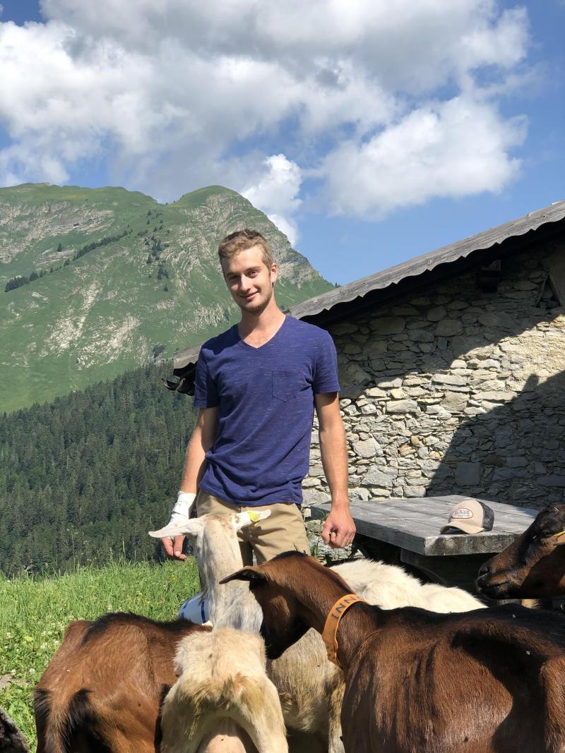 Les Lindarets: du village des vaches au village des chèvres - Le Messager