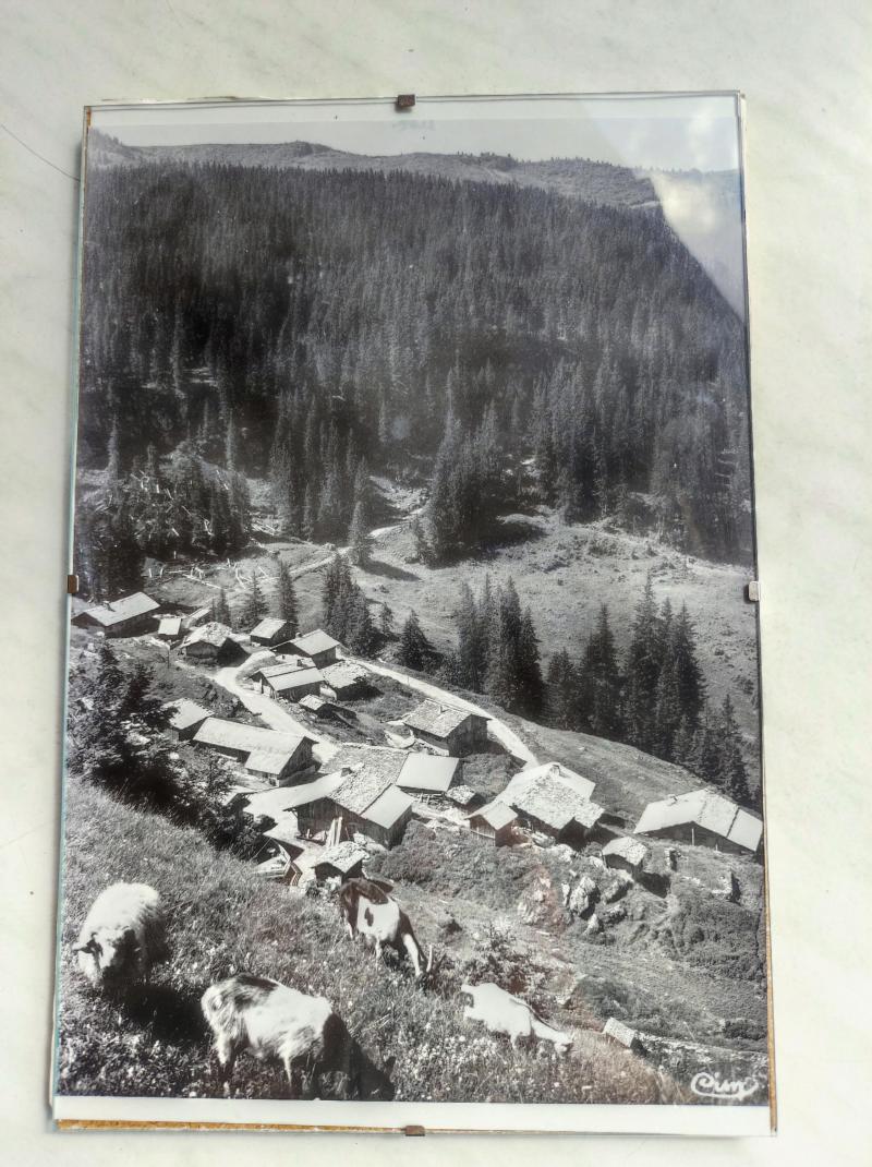 Les Lindarets: du village des vaches au village des chèvres - Le Messager