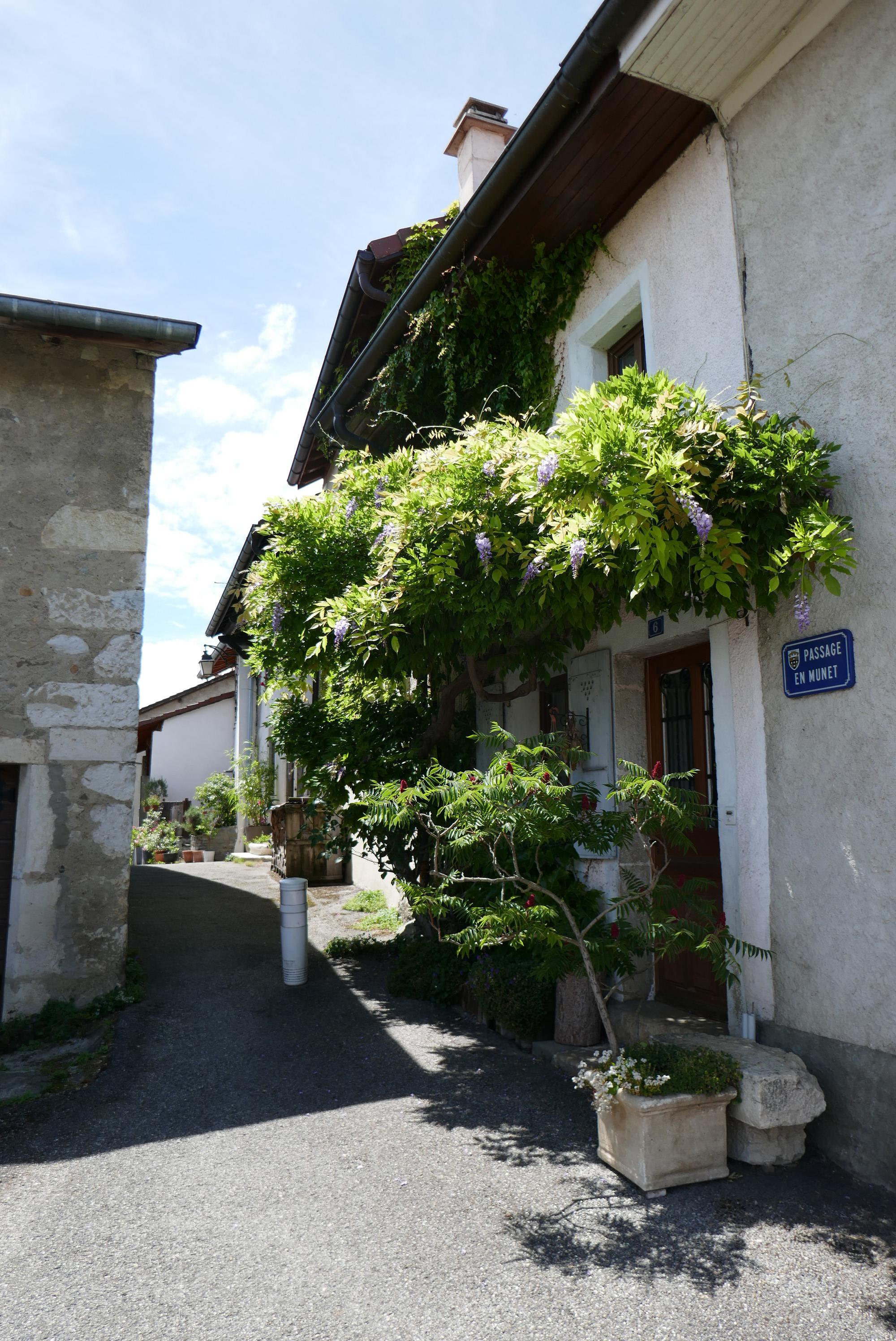 Grilly : de belles balades entre vieilles pierres et nature - Le Messager