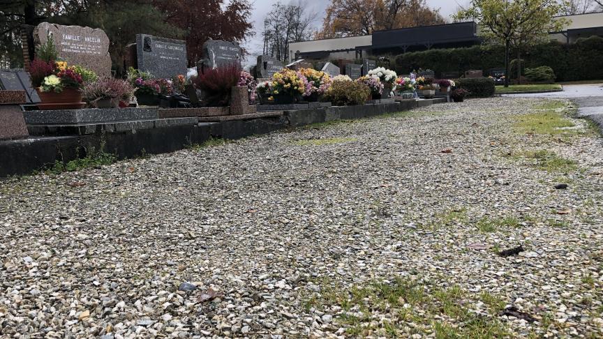 Albertville au cimetière du Chiriac : du gazon pour faire oublier les herbes folles des allées ...