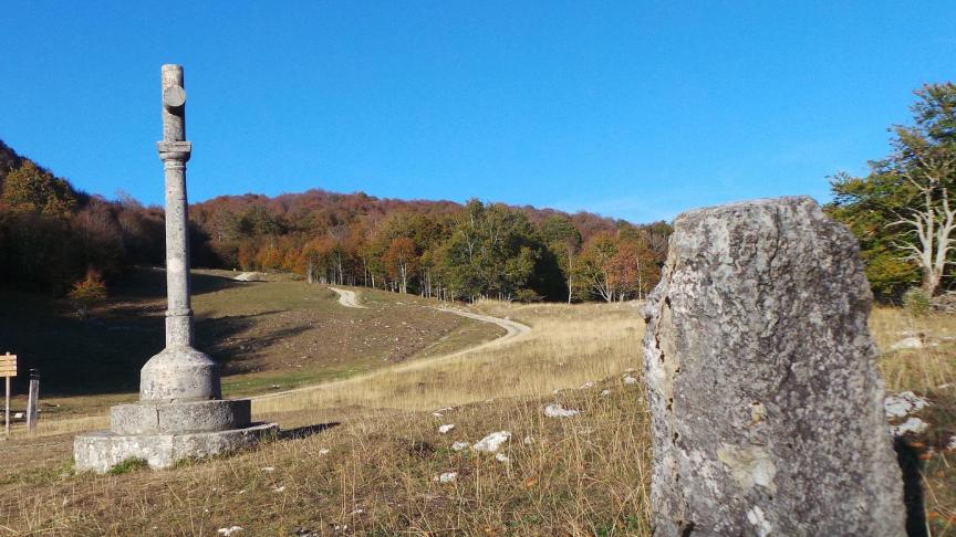 Pays bellegardien : le plateau de Retord bientôt labellisé « Espace ...