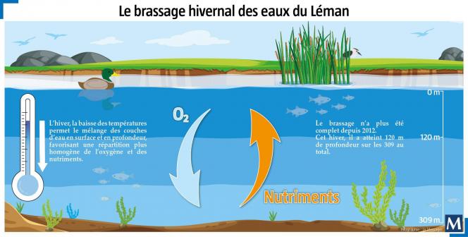 lac leman temperature eau